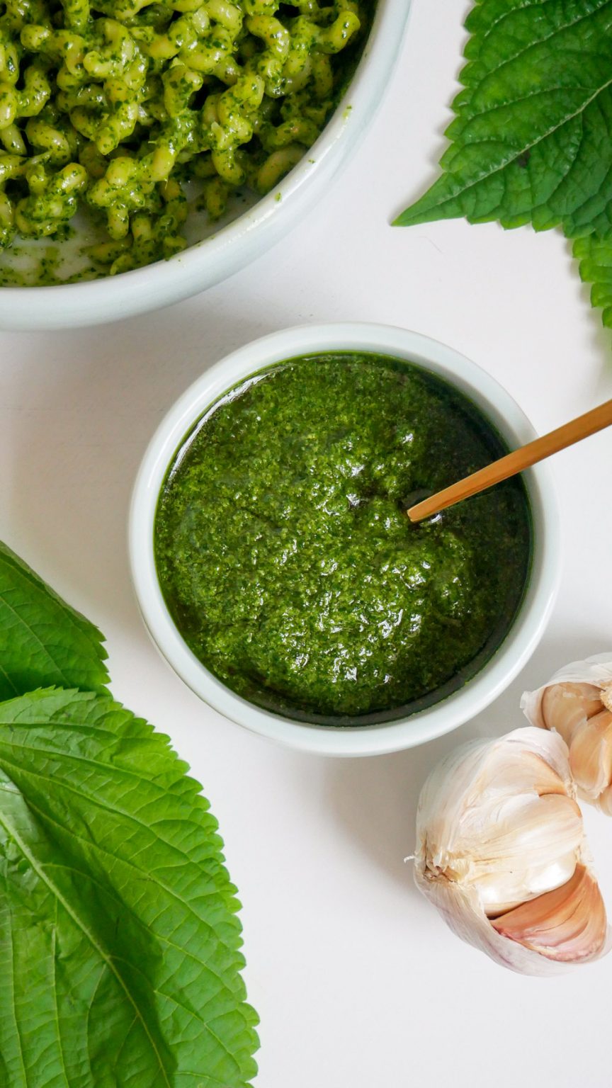 Perilla Pesto Recipe - Jecca Chantilly