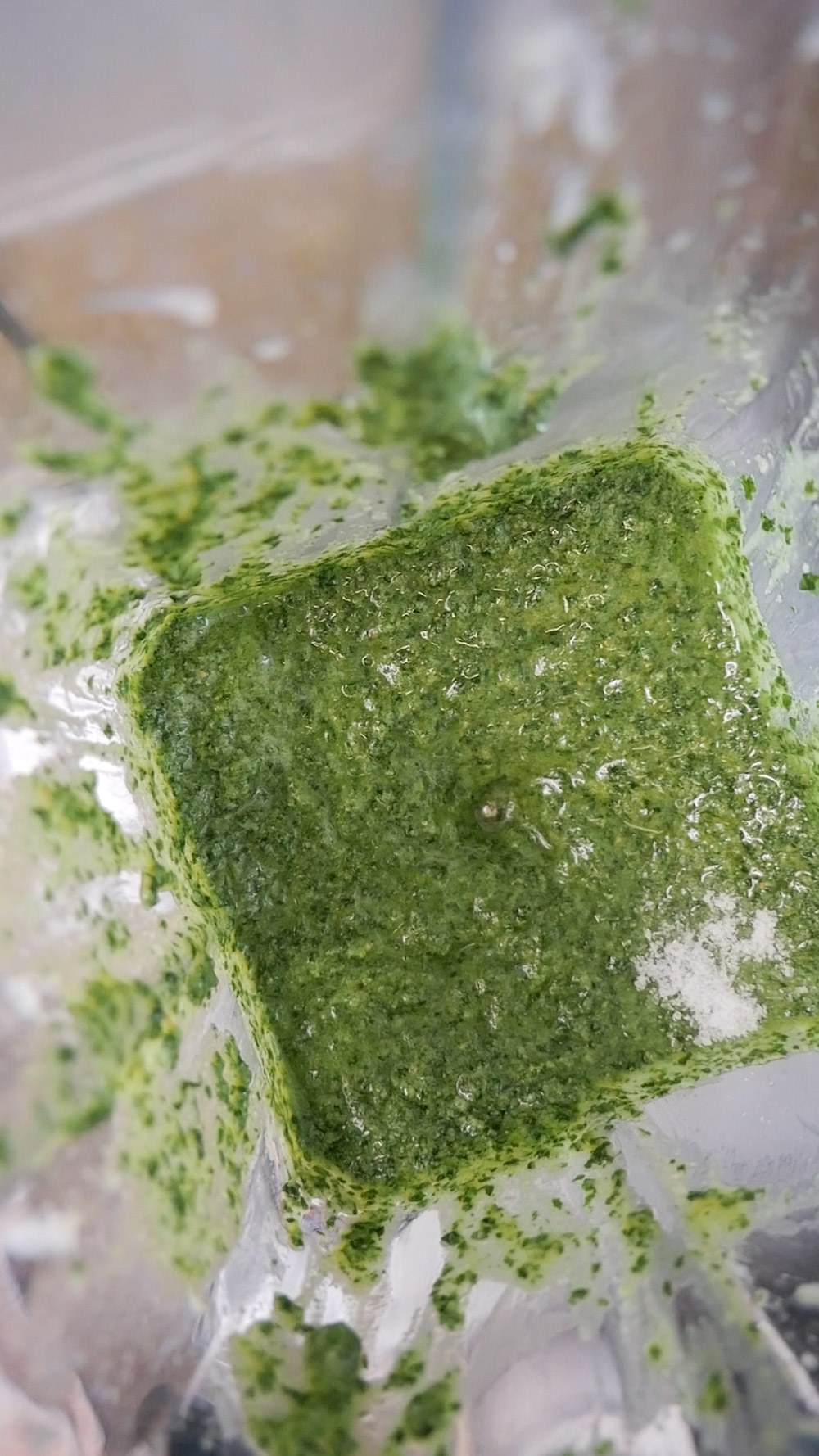 Perilla Pesto Recipe - Jecca Chantilly