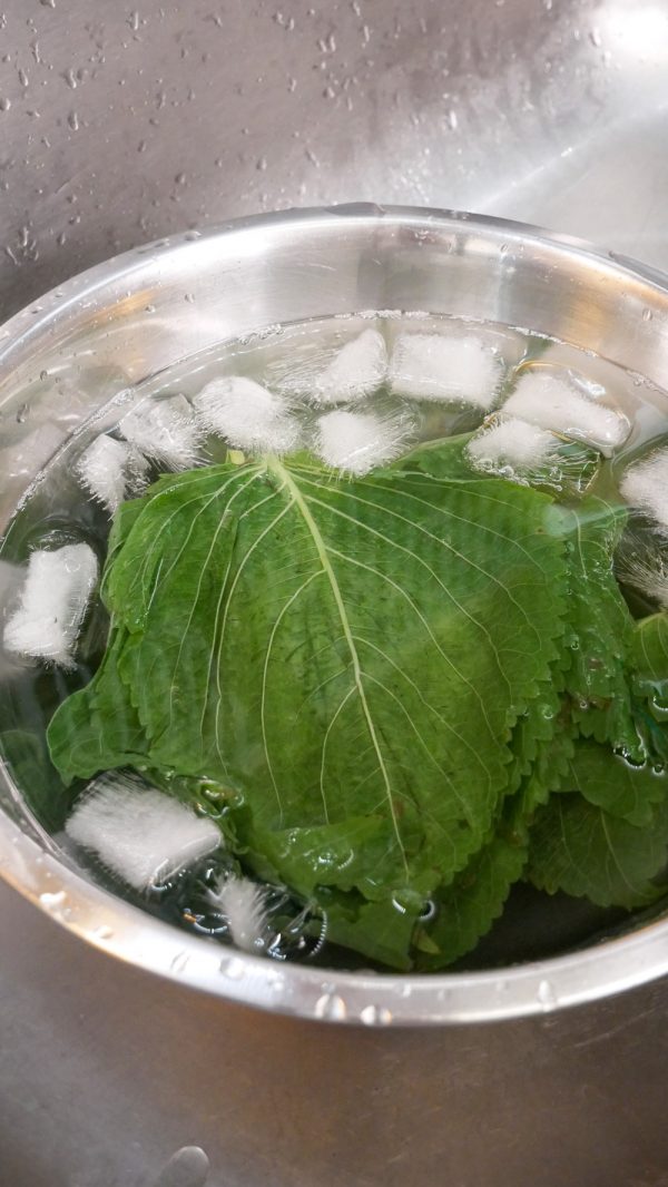 Perilla Pesto Recipe - Jecca Chantilly