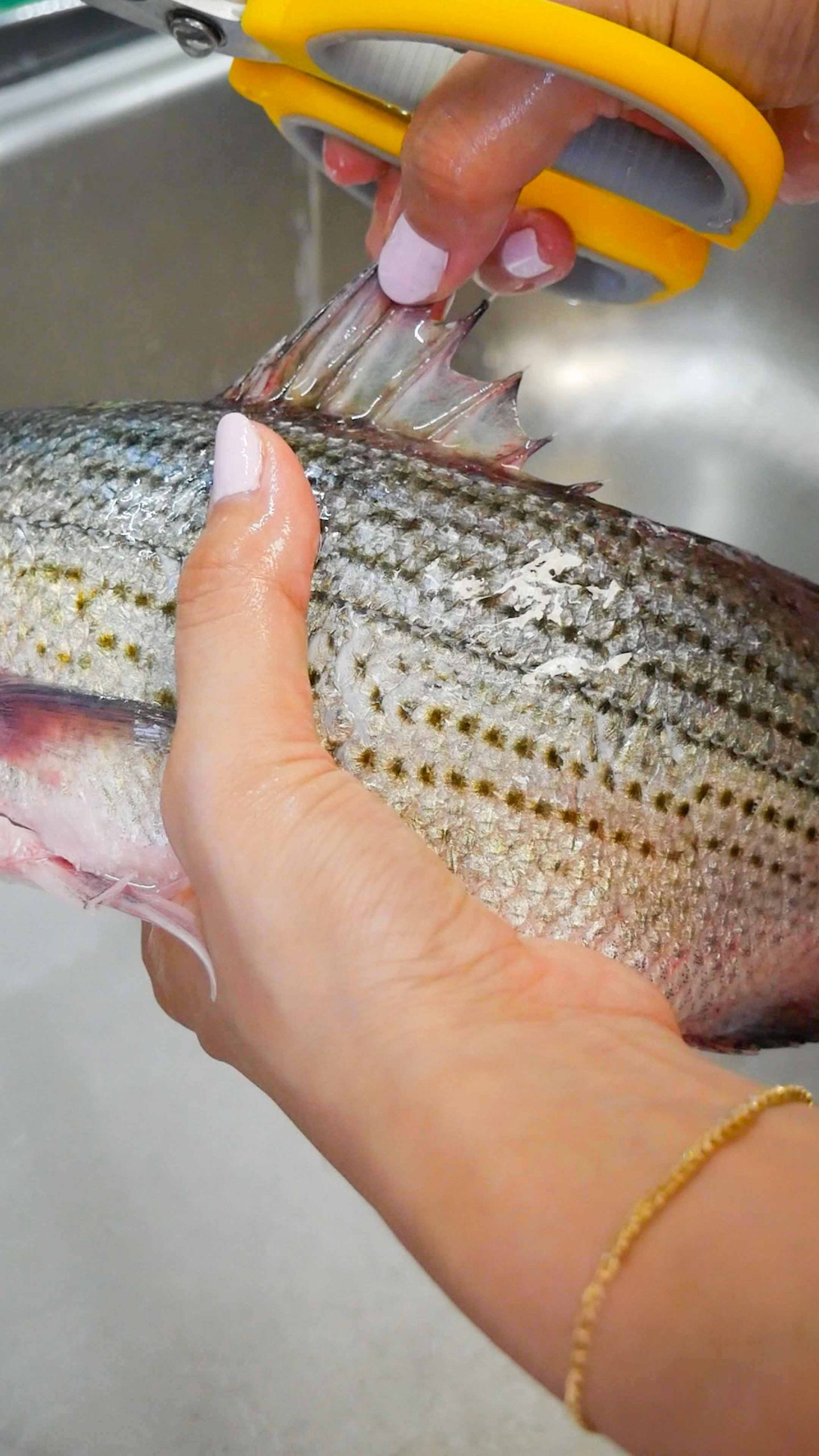 Chinese Steamed Fish with Ginger and Spring Onion Recipe - Jecca Chantilly