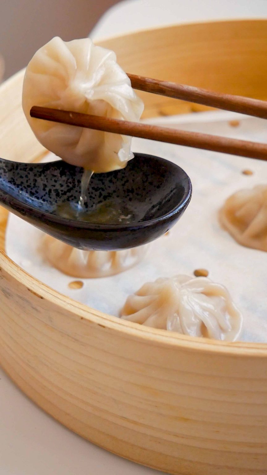 Easy Soup Dumplings Recipe - Jecca Chantilly
